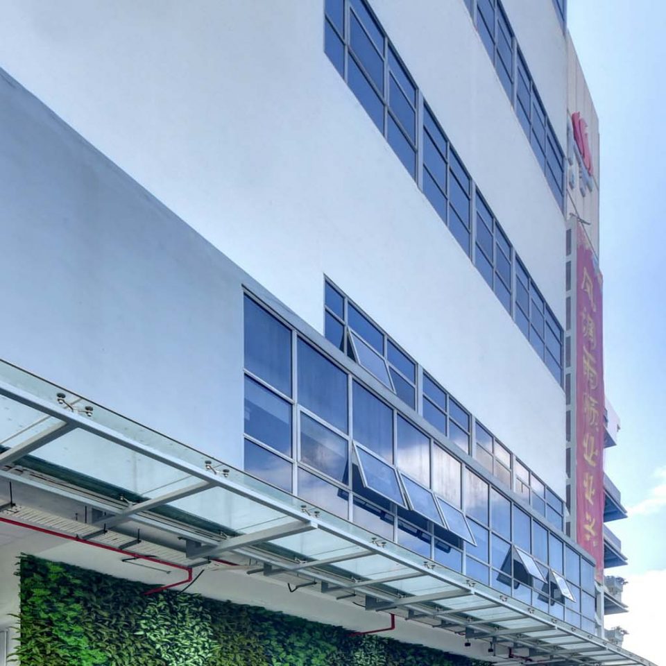 Feature Wall - GreenTurf Asia