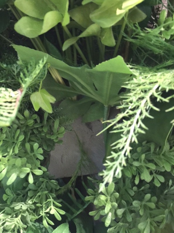 Top 5 tips to choosing your artificial green wall installer - GreenTurf ...